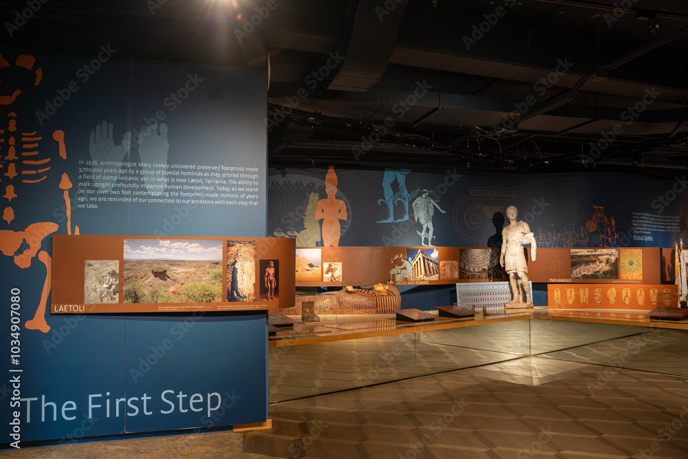 Interior view of the Bata Shoe Museum. The Bata Shoe Museum is a museum ...