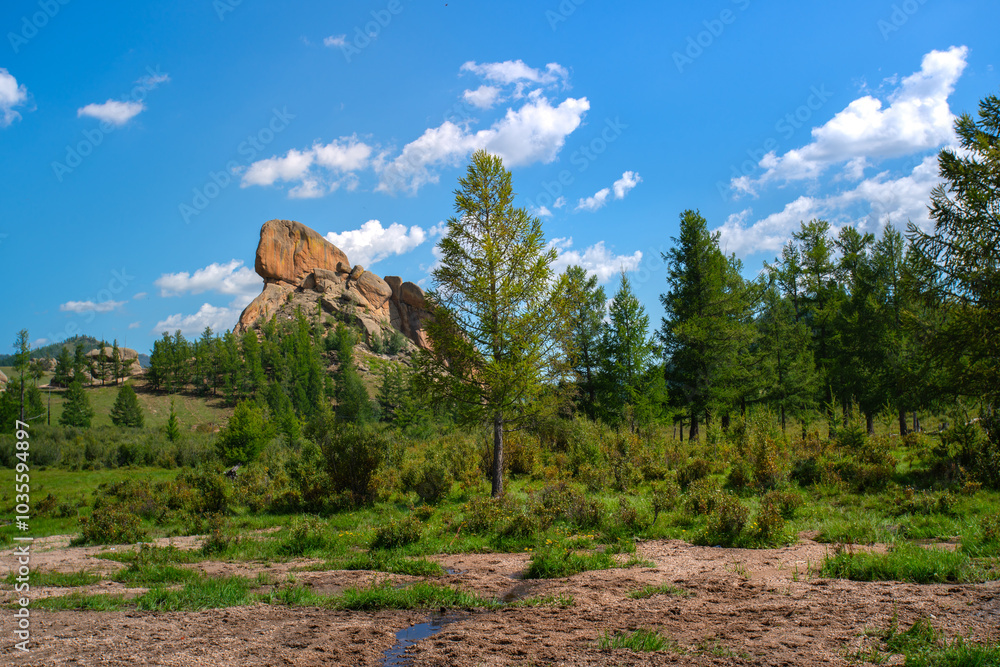 Turtle Rock, or Melkhii Khad, the famous gigantesque rock formed into a ...