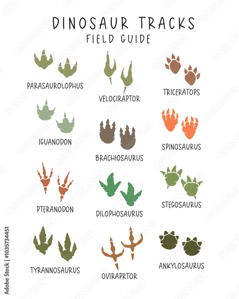 Dinosaur Tracks. Field Guide Poster, Educational Poster, Preschool ...