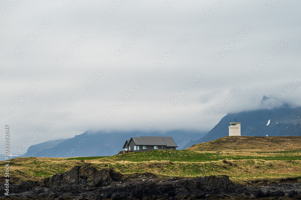 icelandic seals inside the Ytri Tunga Beach, Snaefellness Peninsula ...