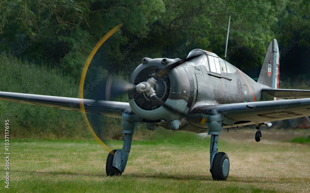 Victory Show, Leicester, Uk. August 2024. The Curtiss P-36 Hawk, also ...