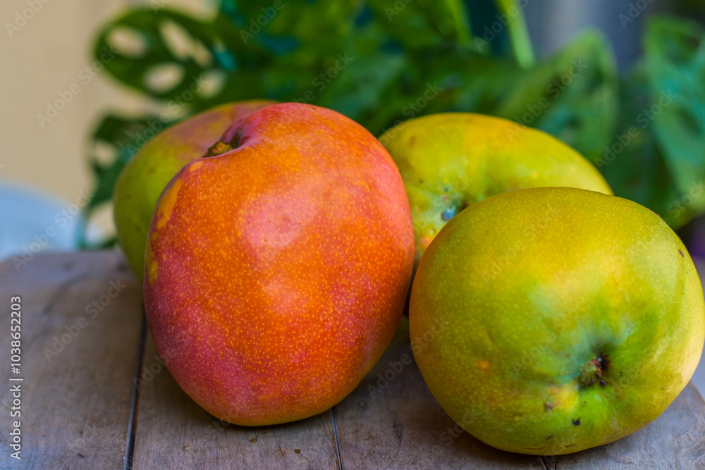 Manga é um fruto do tipo drupa produzido por uma árvore chamada ...