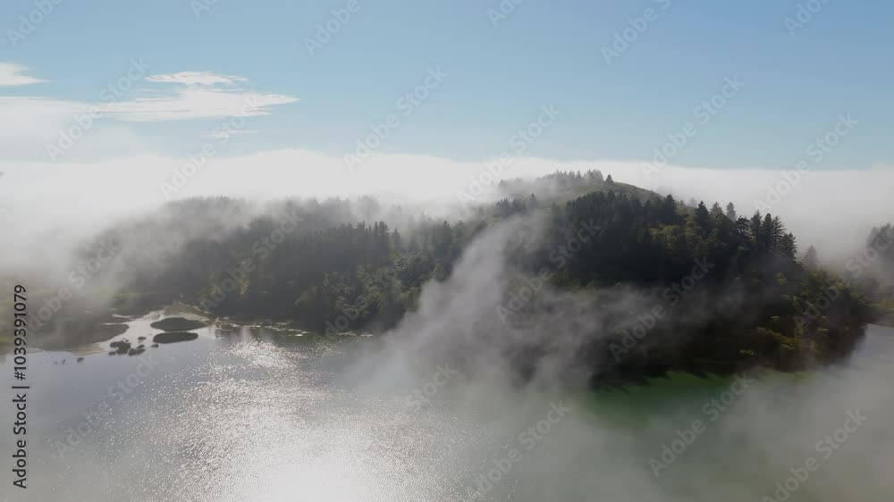 Behold the breathtaking and stunning aerial view of Oregons enchanting ...