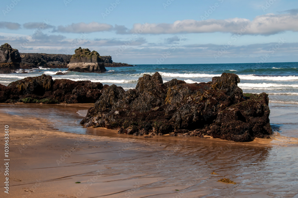 Skardsvík beach Iceland, view of a golden sandy beach with black basalt ...