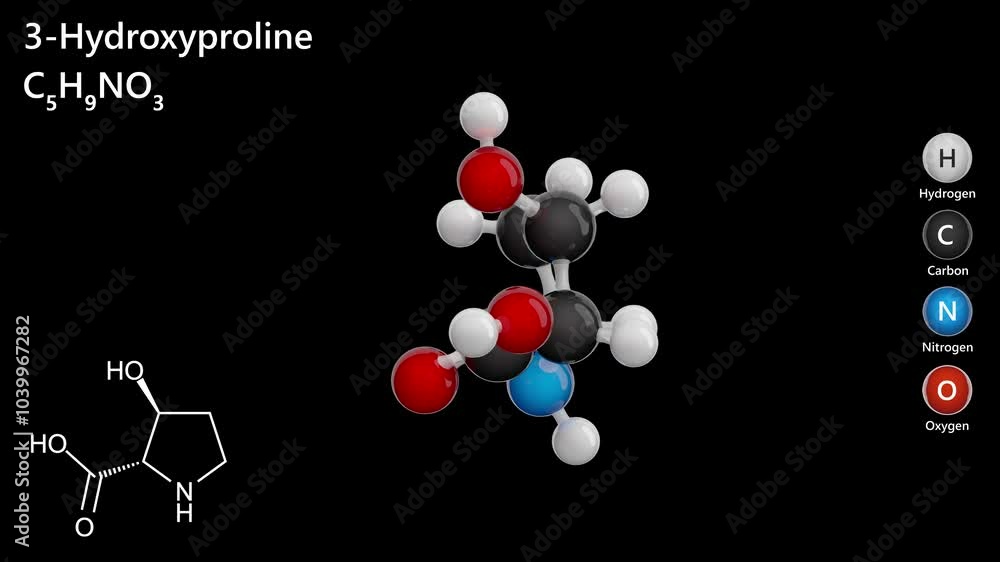 3-Hydroxyproline. Animated 3D model of a molecule. Molecular formula ...