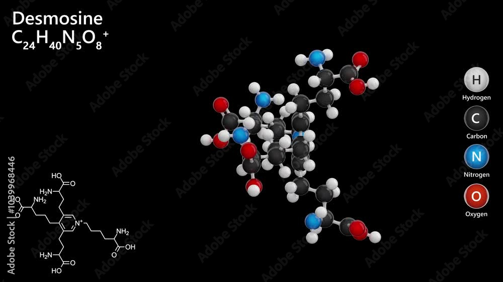 Desmosine. Animated 3D model of a molecule. Molecular formula ...