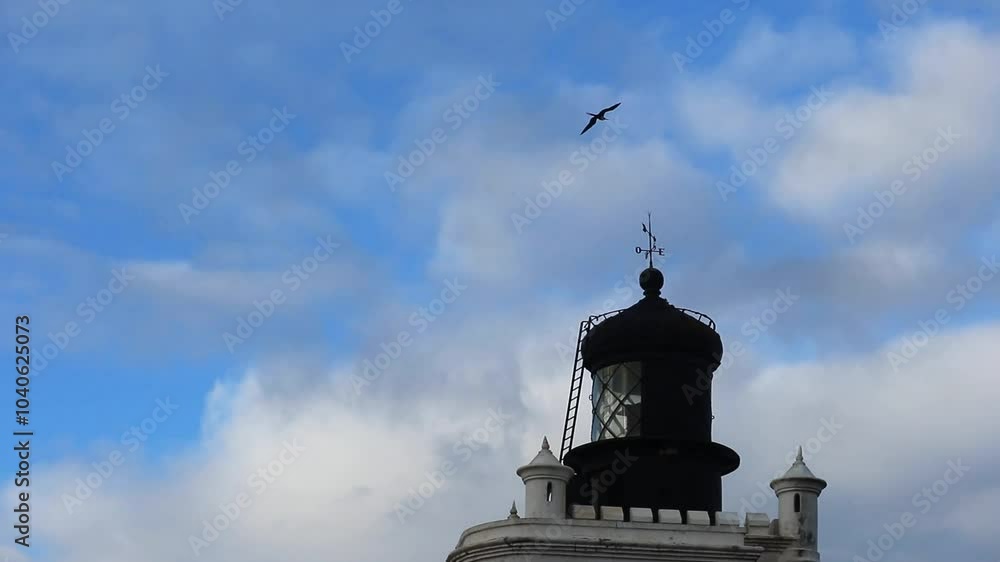 pelican flying over the lighthouse tower at Castillo San Felipe del ...