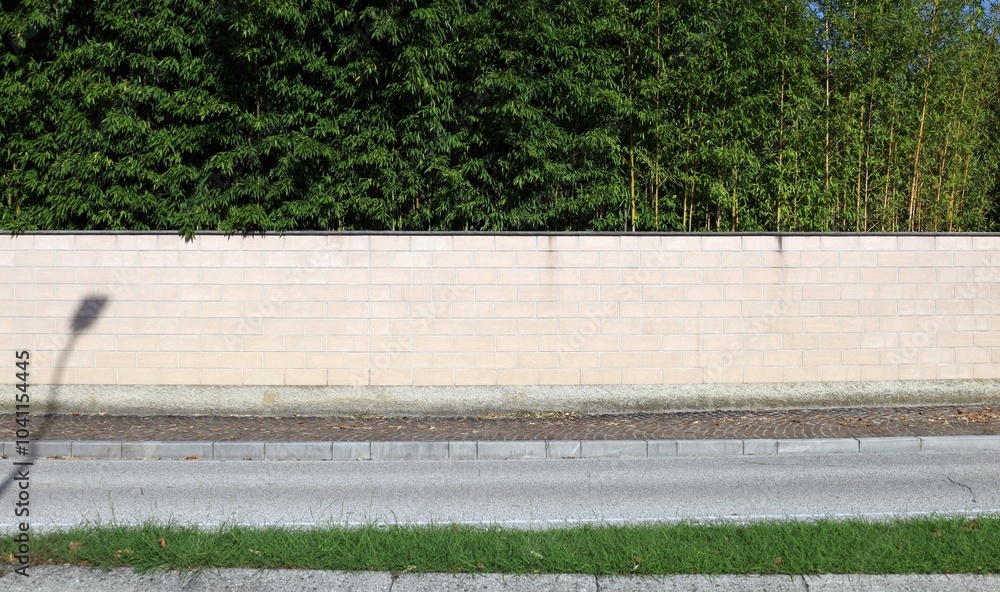 Pink concrete block fence with high bamboos on behind. Sidewalk and ...