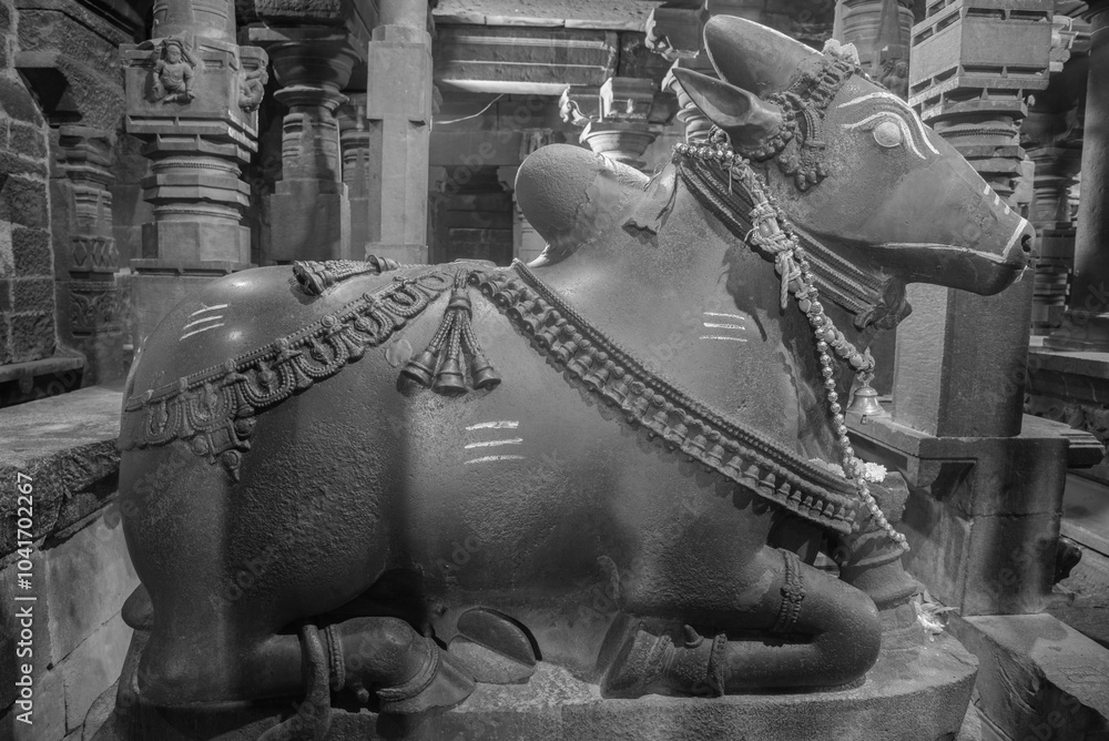 An ancient stone sculpture of Nandi at Bhuleshwar temple, 13th century ...