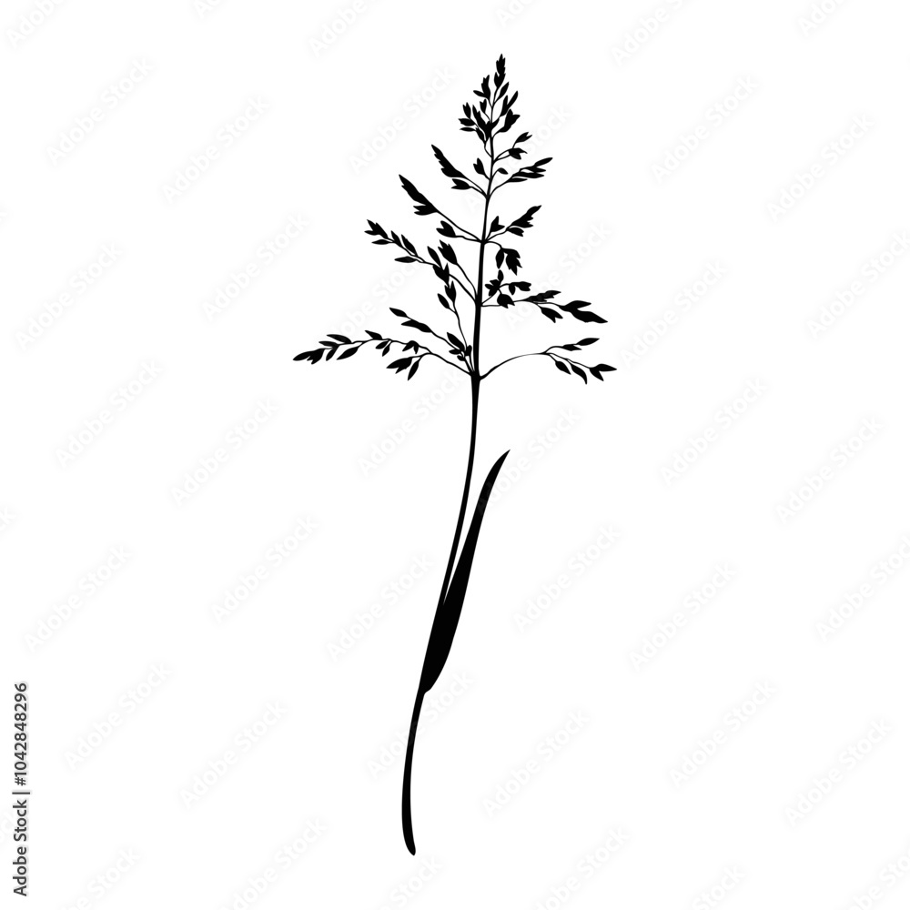 Bluegrass branch silhouette. Hand drawn vector illustration isolated on ...