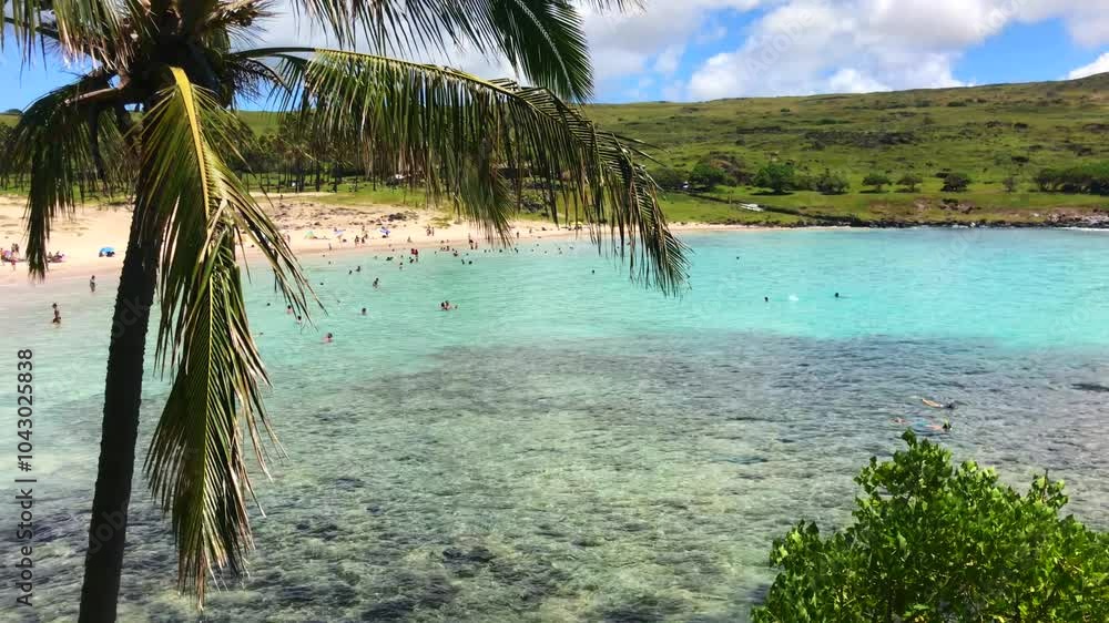 Anakena Beach under sunny blue summer sky. Anakena, also known as Haŋa ...