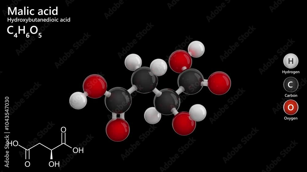 Malic Acid. Animated 3D model of a molecule. Molecular formula: C4H6O5 ...