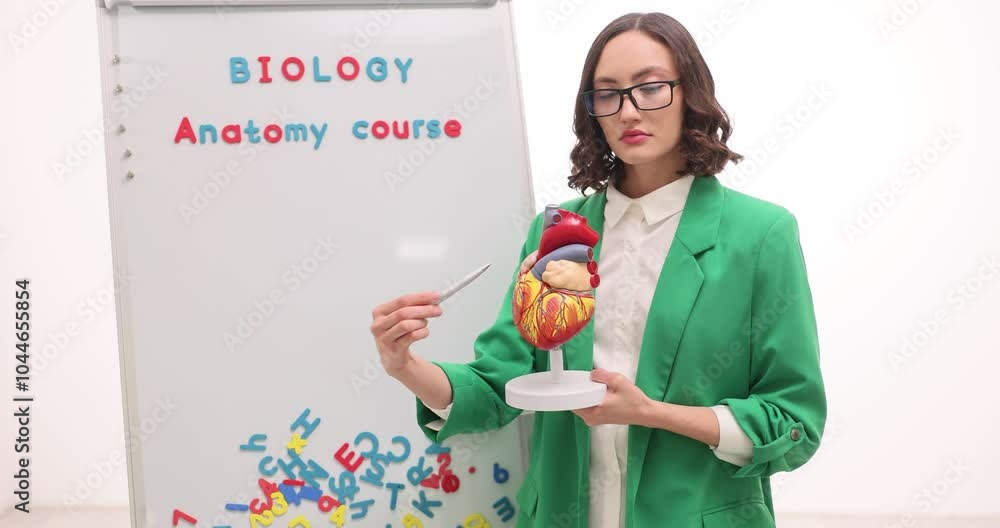 Woman biology teacher explains anatomy of human heart against ...