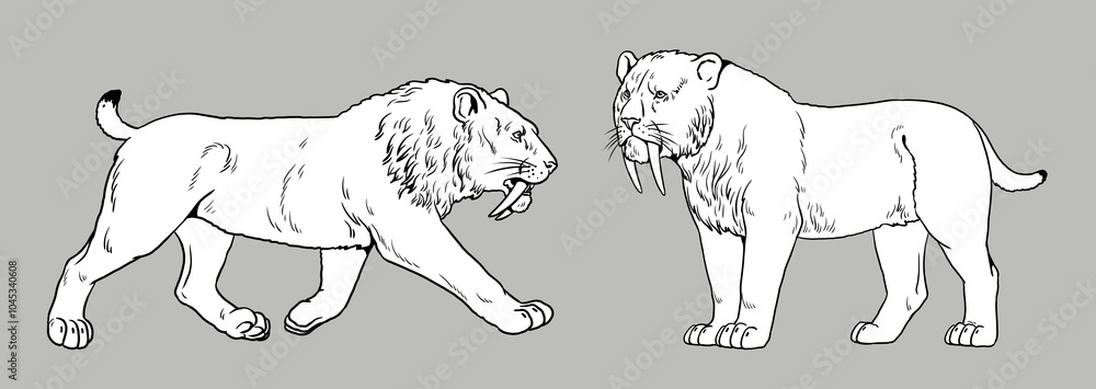 Saber tooth cat to color in. Animals drawing. Saber-toothed cat attack ...