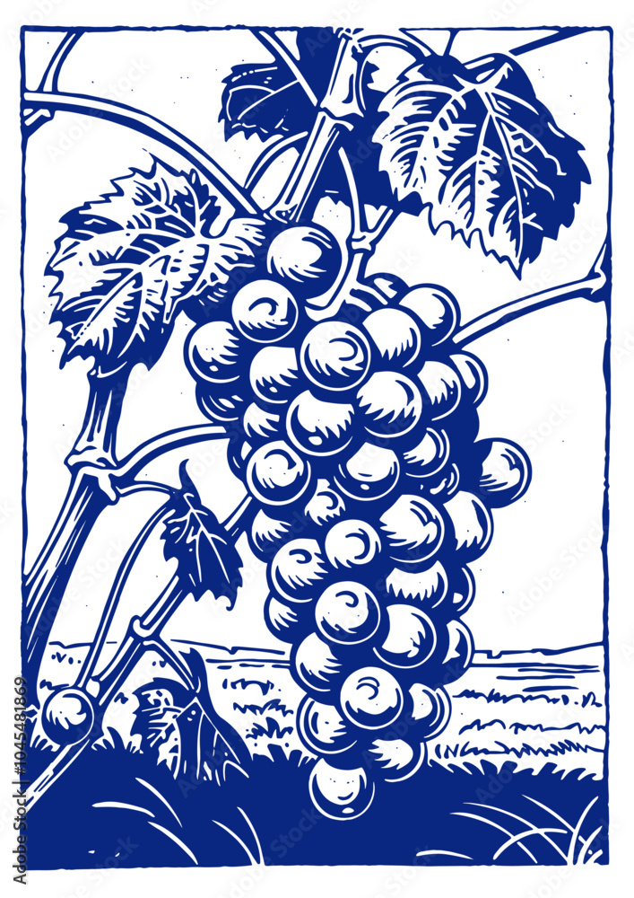 Vine with grapes in linocut or woodcut style featuring a close-up ...