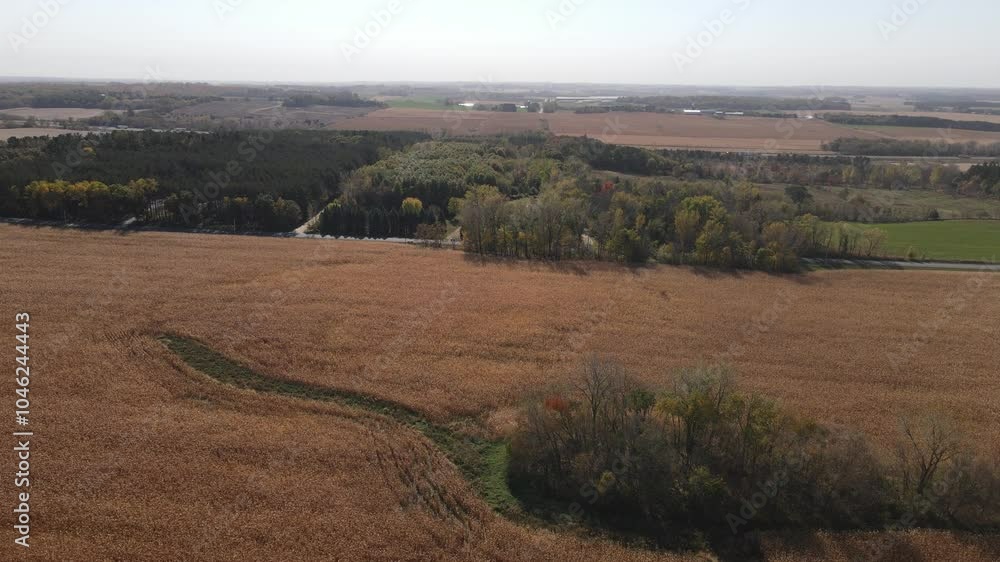 Golden fields stretch across the rural Wisconsin countryside during ...
