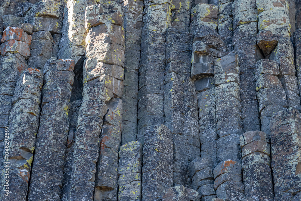 Columnar Jointing in Swan Lake Flat Basalt at Sheepeater Cliff. Gardner ...