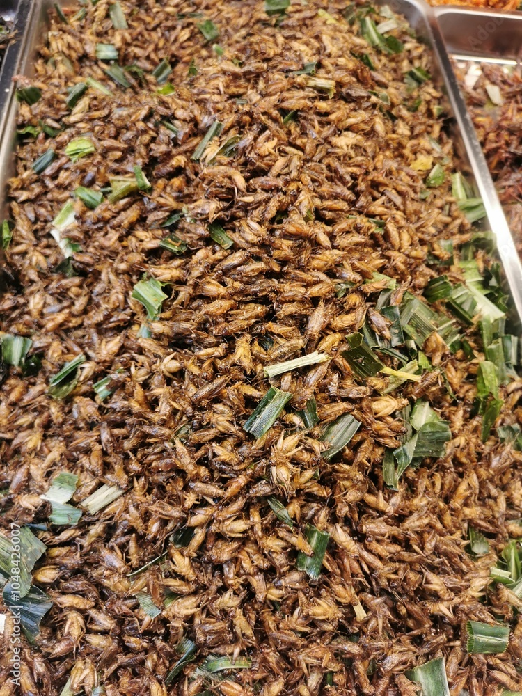 Fried crickets, Thai street food, fried insects, bizarre food, tastes a ...