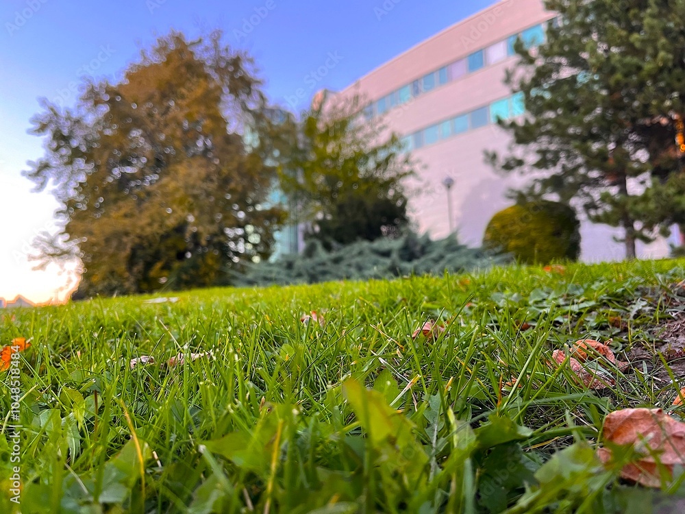 Modern institutional building photographed from a low angle at ground ...