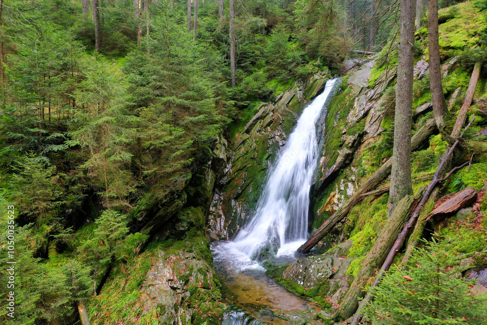 White Gorge (Bílá strž) National Nature Reserve extends at the area of ...