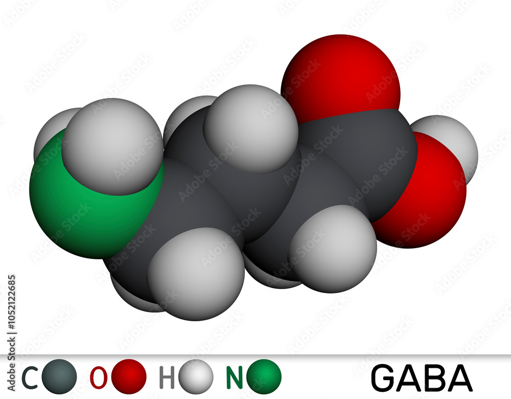Coenzyme A, CoA, SHCoA, CoASH molecule. Essential coenzyme in fatty ...