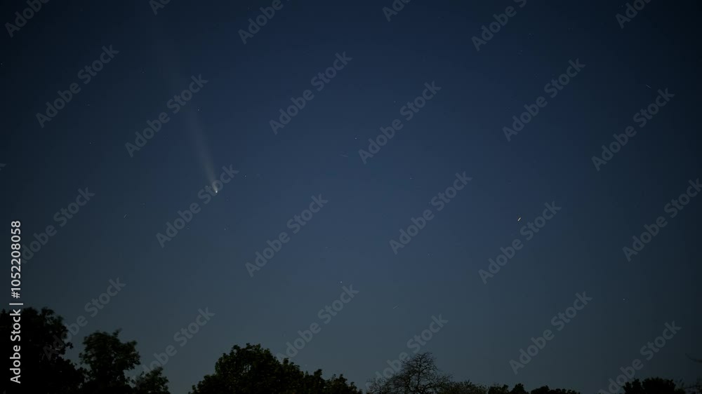 Comet Tsuchinshan-Atlas over trees near Western horizon in October 2024 ...