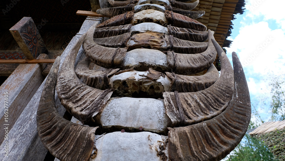 Stacked Water Buffalo Horns and Skulls. exterior of a traditional ...