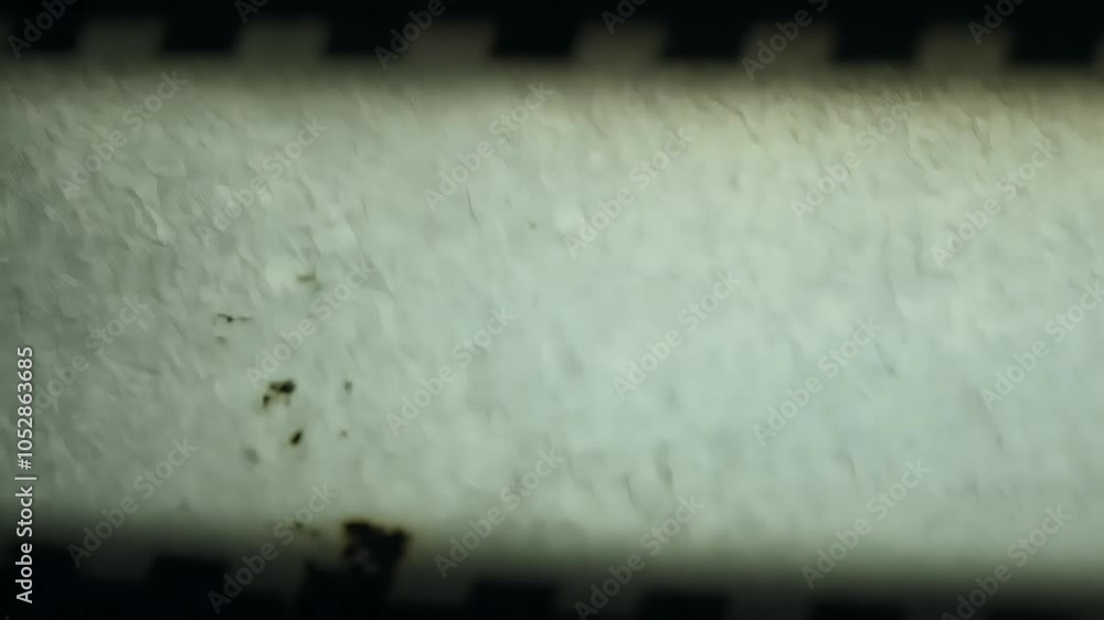 Watch 4K video captures fascinating details dark underexposed 35mm film ...