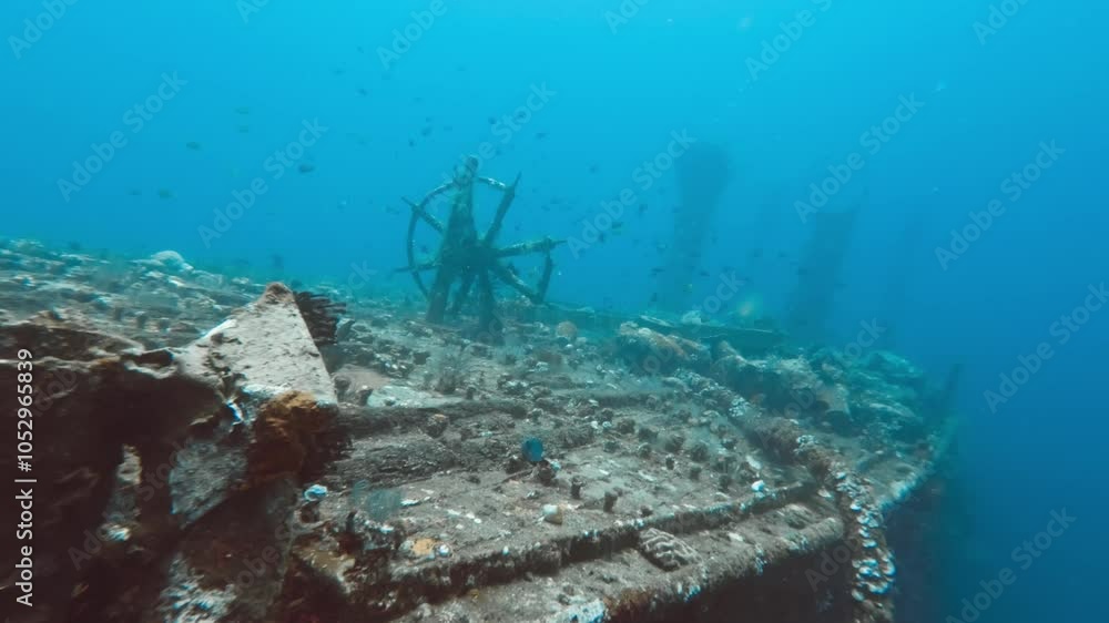 Aquatic Fishes Swimming at Boat Shipwreck with Coral Reef in Blue Water ...