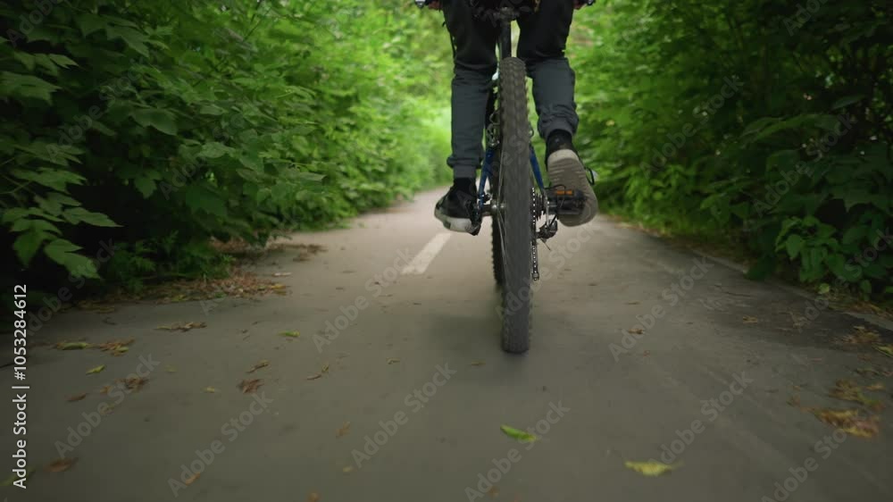 Back view of someone riding bicycle along a paved path with white road ...