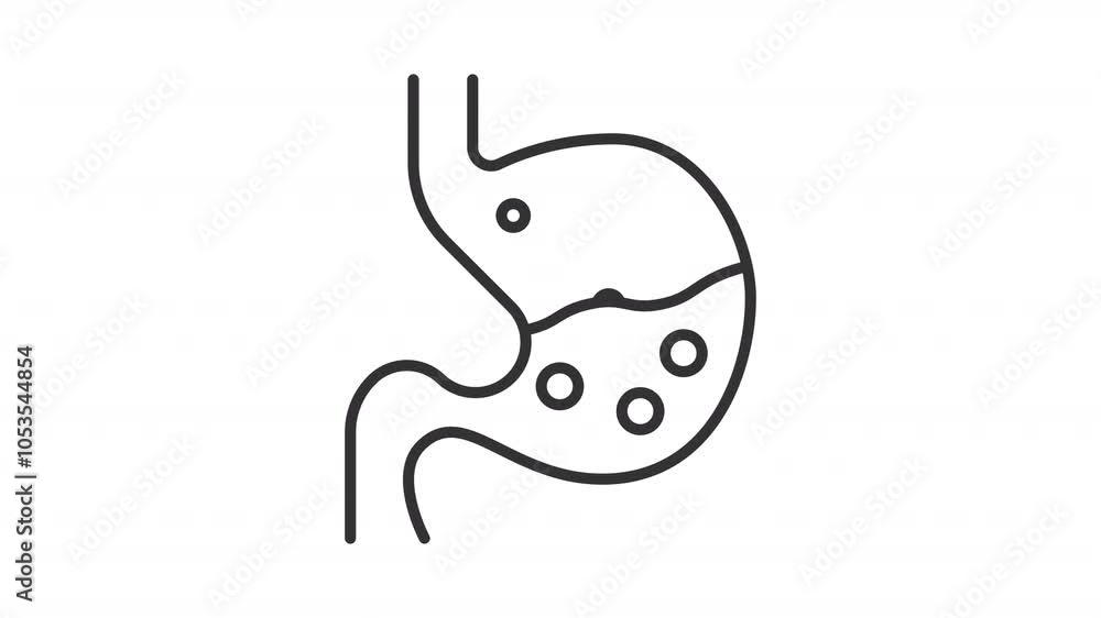 Animated stomach icon. Digestive process line animation. Metabolism ...