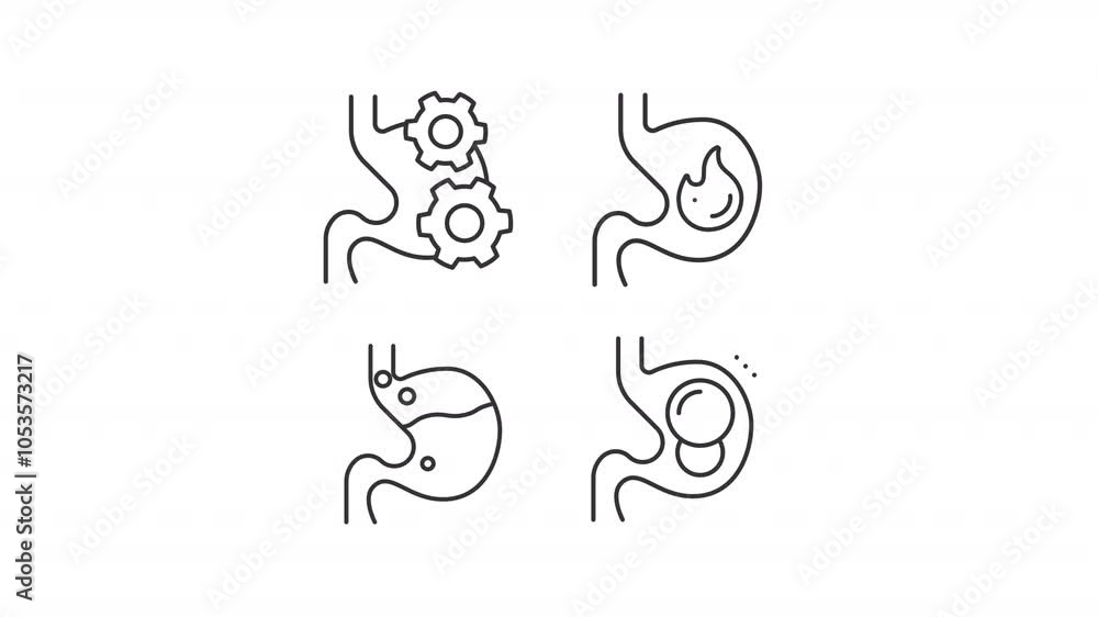 Stomach related line animations. Animated internal organs icons ...