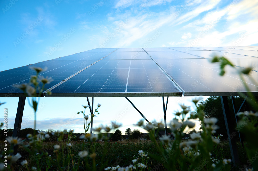 Low angle view of photovoltaic solar panels on solar farm early in the ...