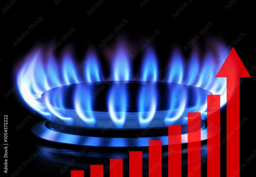 Natural Gas. High prices of natural gas. Blue flames of gas burning ...