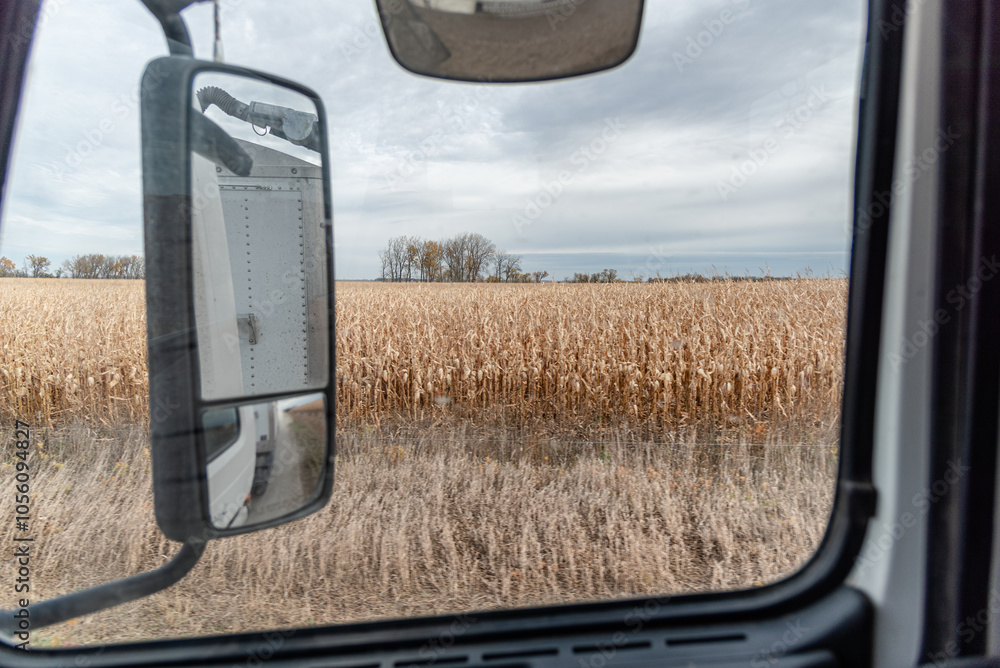 View from Inside Semi Truck Hauling Corn During Fall Harvest, Cornfield ...