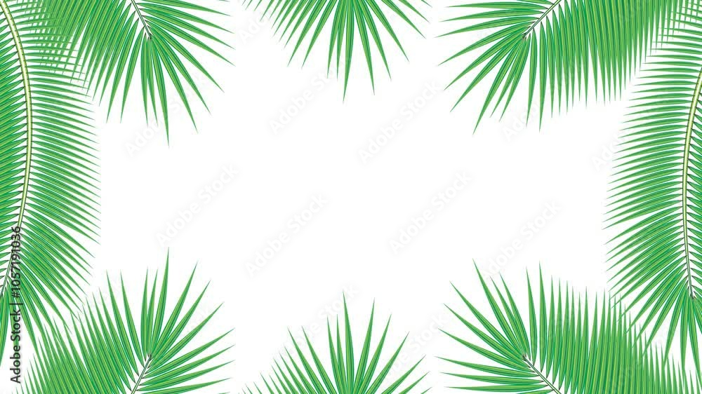 coconut leaf frame, looping animation, alpha channel setting 素材庫影片 ...
