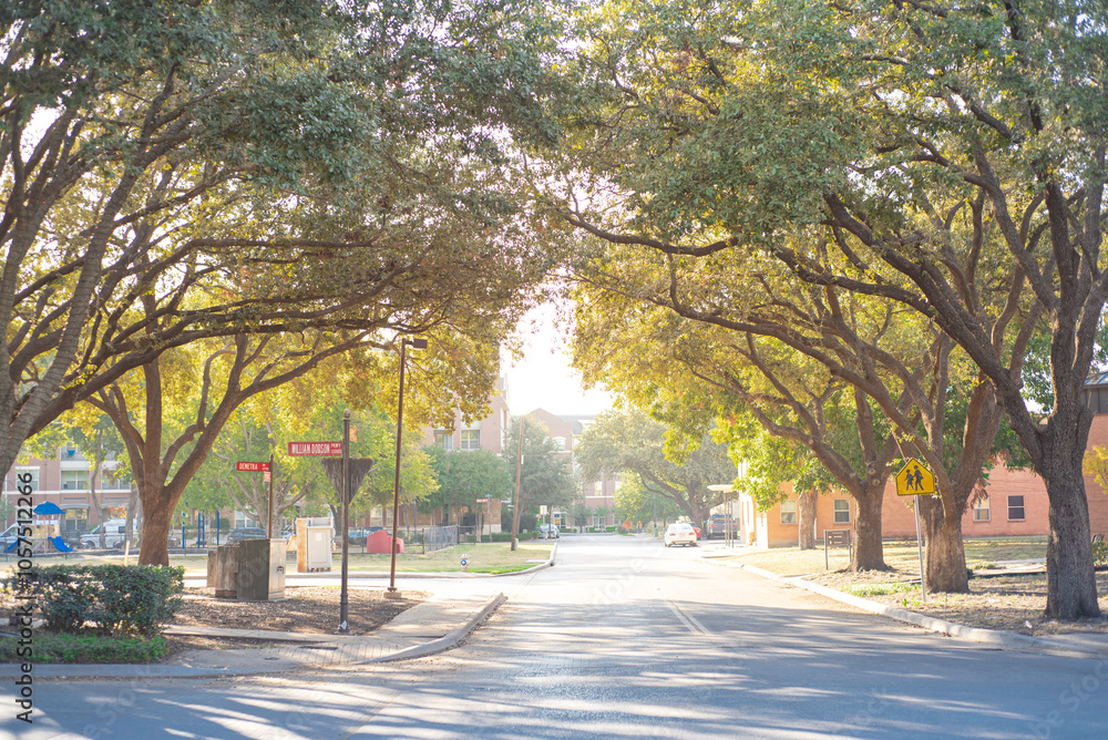 Urban area with tree lined street, high rise buildings, playground ...