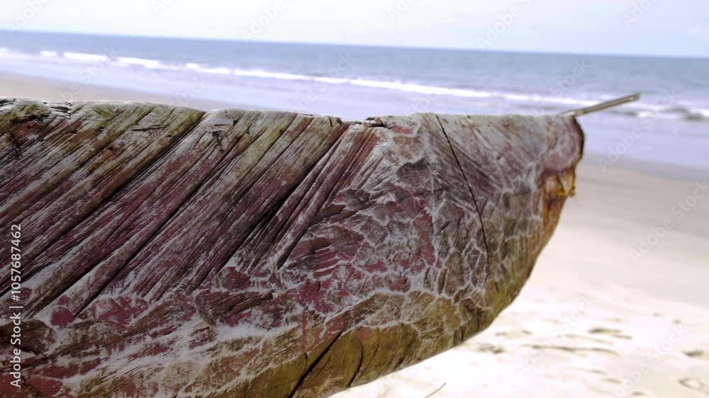 African traditional fishing boat made from a single tree trunk: texture ...