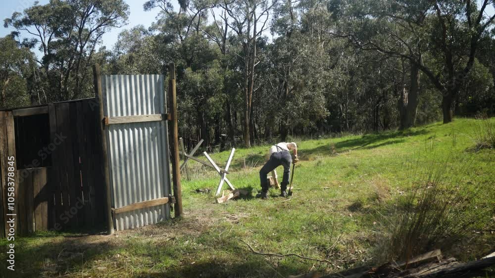 Australian pioneer chopping wood in the bush outside his tin shack ...