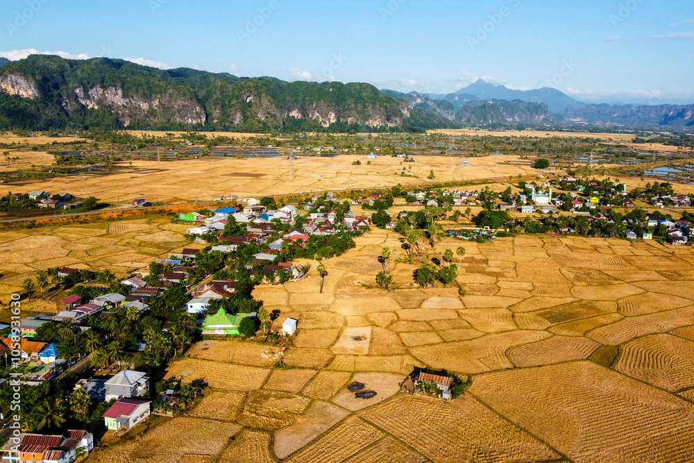Photos of views of villages and rice fields during the dry season are ...