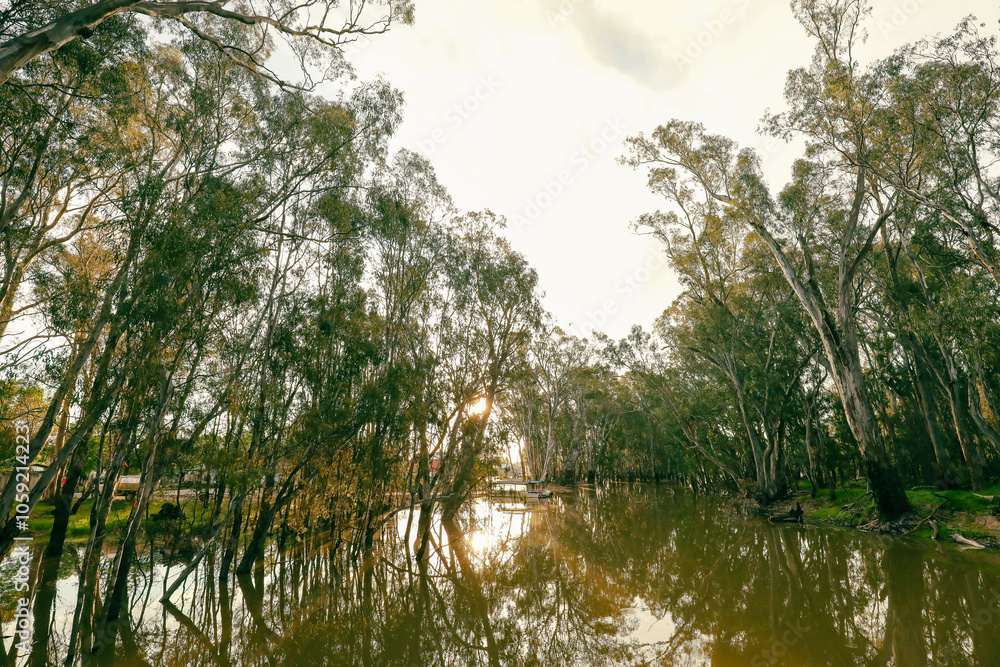 Tranquil golden afternoon along the Gunbower Creek in Koondrook ...