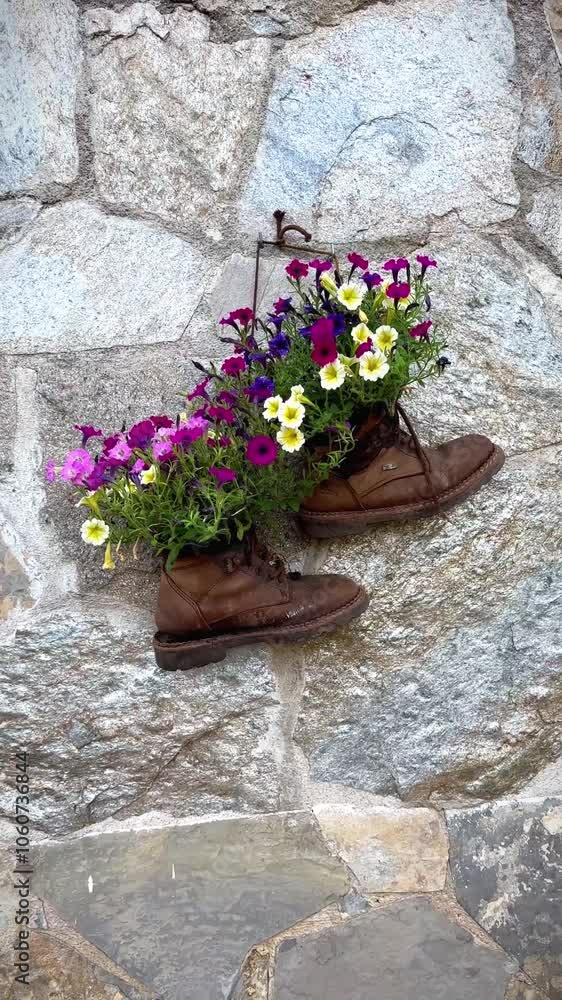 A pair of old brown boots used as creative planters, mounted on a ...