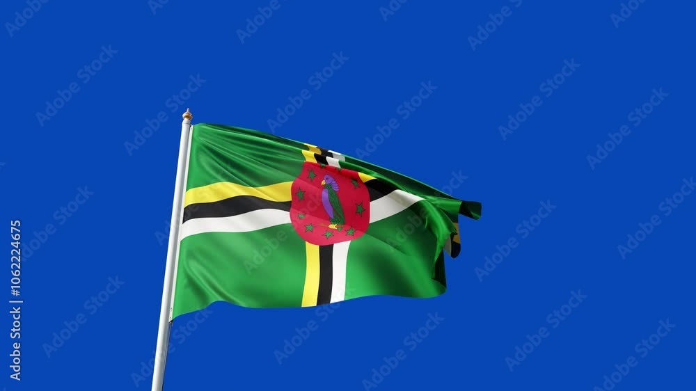flag of dominic on a blue screen, no background, transparent background ...