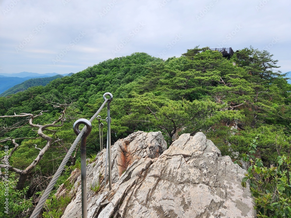 Summer Landscape of Samaksan Mountain with Pine Trees, Chuncheon, South ...