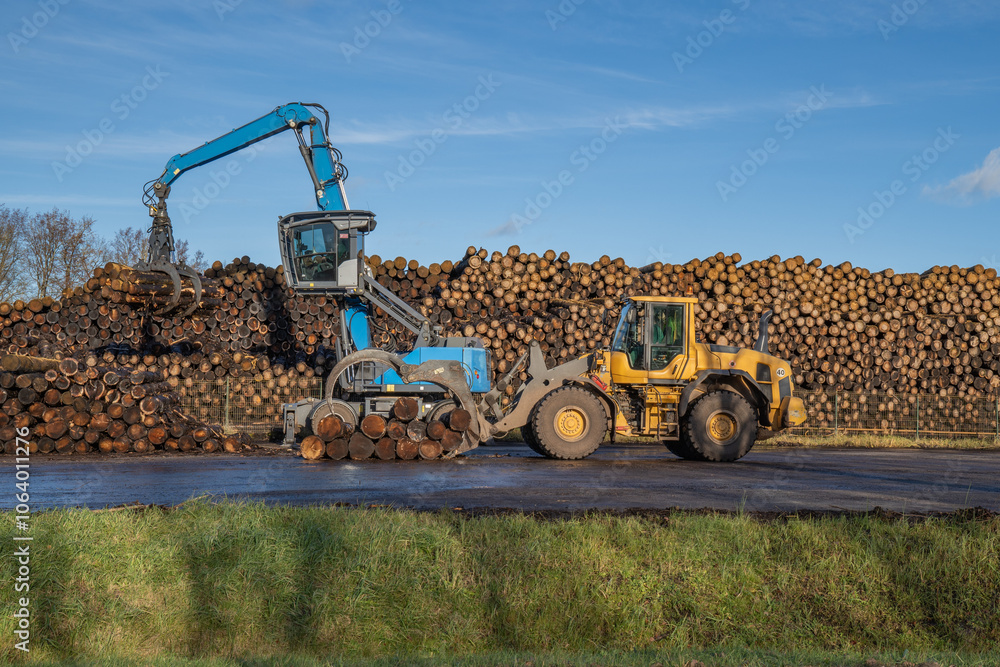 Wood sawmill, machinery for processing wood. Processing plant. A worker ...