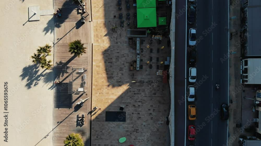 An aerial view of a beachfront residential area with palm trees ...