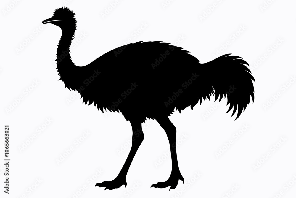 Vetor de Emu silhouette vector, ostrich emu bird vector illustration ...