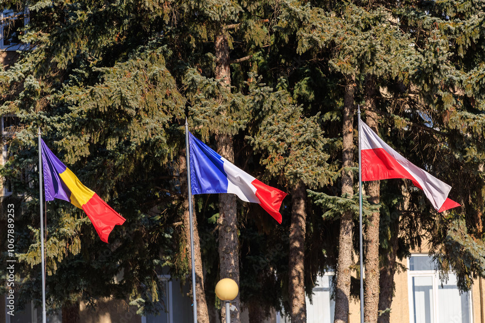 Flags of Romania, France, and Poland displayed outdoors with evergreen ...