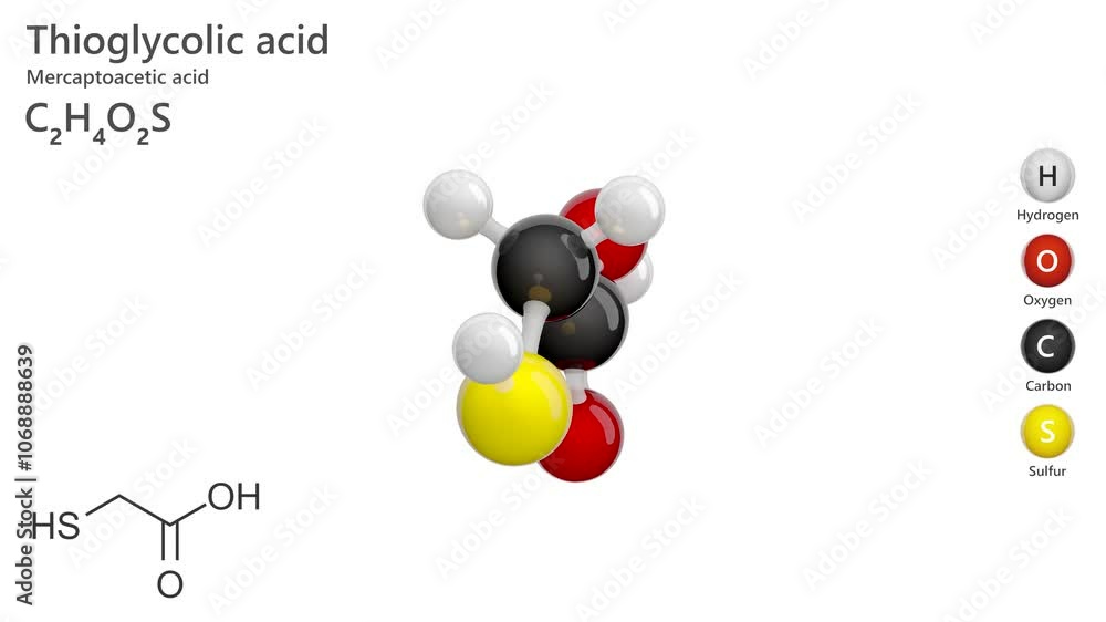 Thioglycolic Acid or mercaptoacetic acid. Animated 3D model of a ...