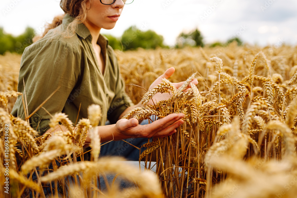 Nice farmer woman walking across field and running her hand through golden ears of wheat harvest ...